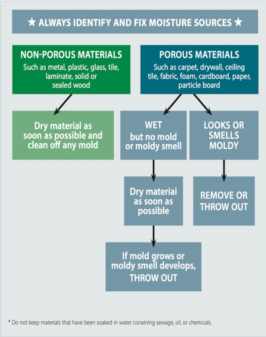 Mold or Moisture Information – Isla Vista Tenants Union